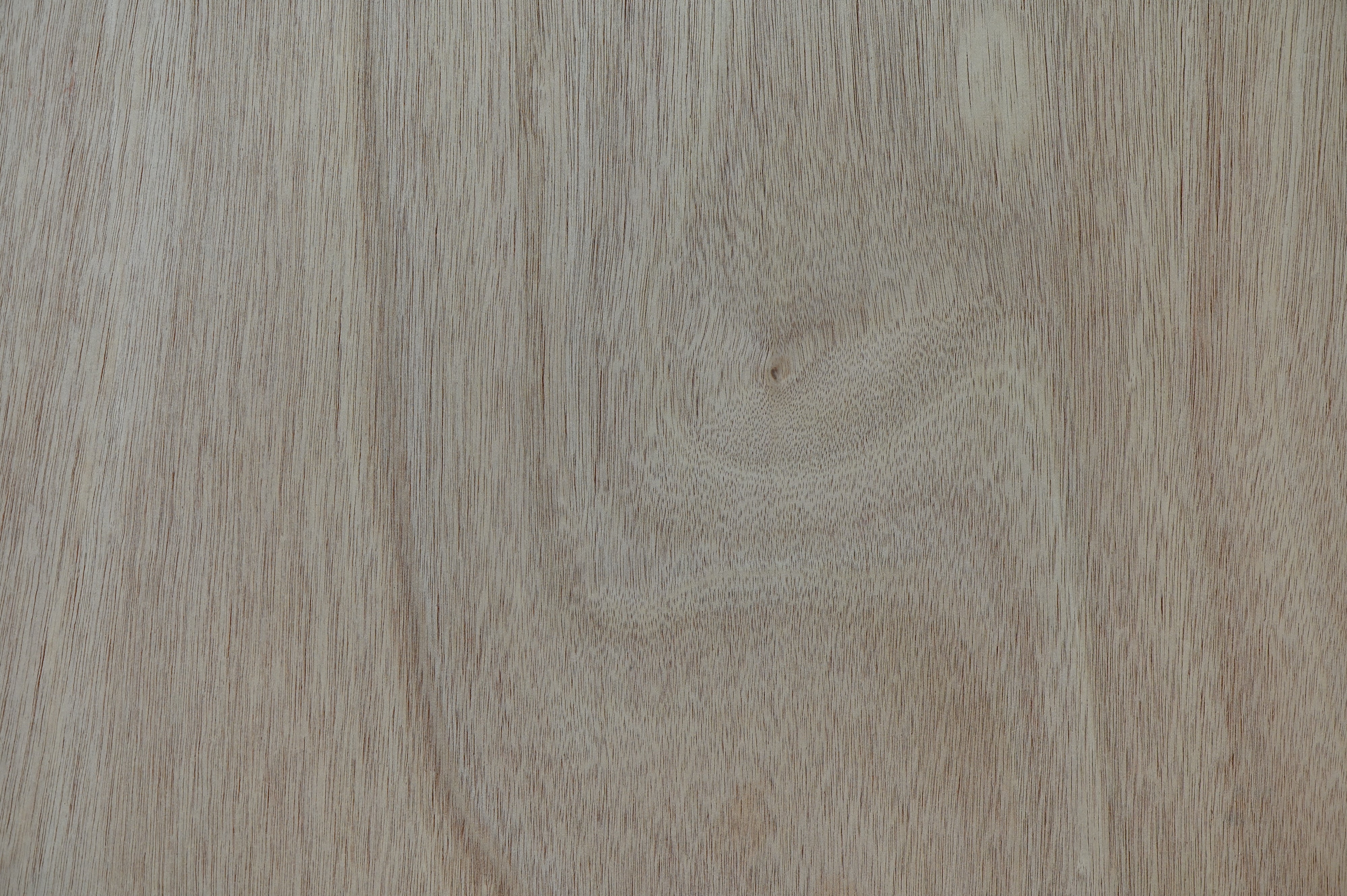 CAOBILLA XAVA